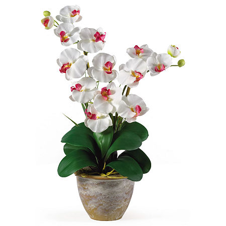 Click here for Nearly Natural Double Phalaenopsis Silk Orchid Flo... prices