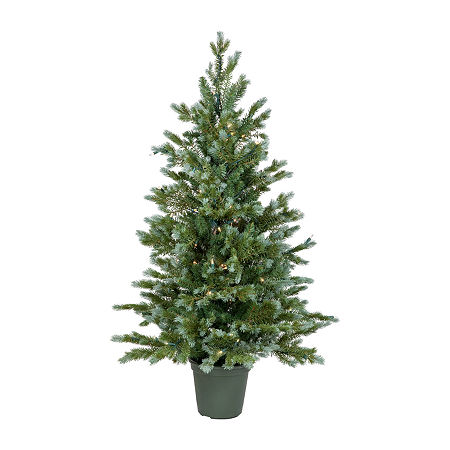 Click here for Northlight Potted Clear Lights 4 Foot Pre-Lit Spru... prices
