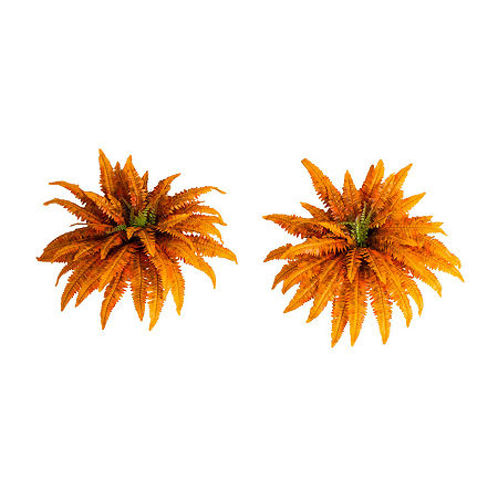 Click here for Nearly Natural 2-pc. Artificial Plant  One Size  O... prices