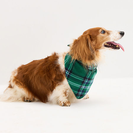 Click here for North Pole Trading Co. Sleigh Bells Ring Matching... prices