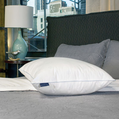 SensorPEDIC Epic Chill Powered by REACTEX Cooling Mattress Pad, Color ...