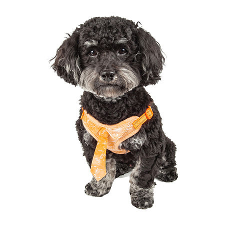 Click here for Pet Life Bonatied Mesh Reversible And Breathable A... prices