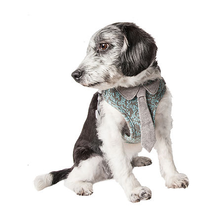 Click here for Pet Life Fidomite Mesh Reversible And Breathable A... prices
