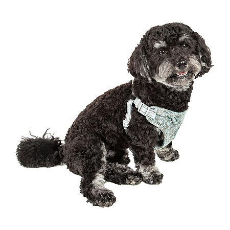 Click here for Pet Life Fidomite Mesh Reversible And Breathable A... prices