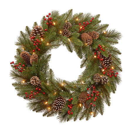 Click here for National Tree 24in. Bristle Berry Wreath prices