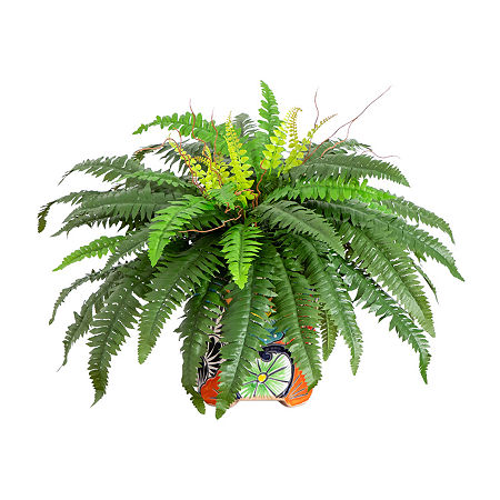 Click here for Nearly Natural 19in Green Boston Fern Artificial P... prices