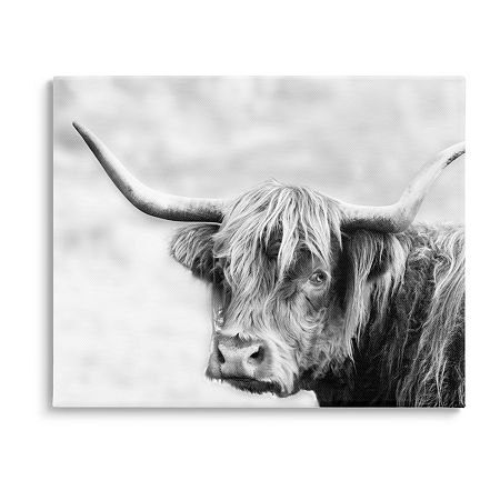 Click here for Stupell Industries Bold Country Cattle Photography... prices