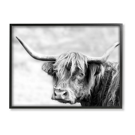Click here for Stupell Industries Bold Country Cattle Photography... prices