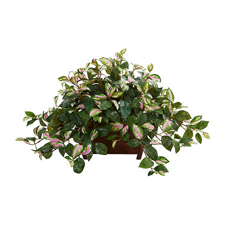Click here for Nearly Natural Hoya Artificial Plant In Decorative... prices