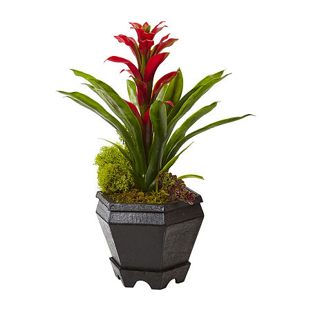 Click here for Nearly Natural Red Bromeliad In Black Hexagon Plan... prices
