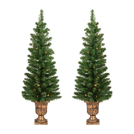 Northlight Set of 2 Pre-Lit Whitmire Pine Potted Artificial Christmas Trees 4 - Clear Lights - Green