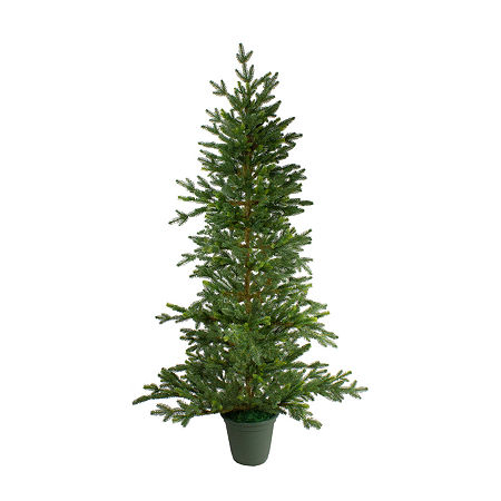 Click here for Northlight Potted Noble Pine Unlit 6 Foot Pine Chr... prices