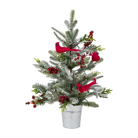 Click here for Northlight Pre-Lit Led Frosted Mixed Pine With Car... prices