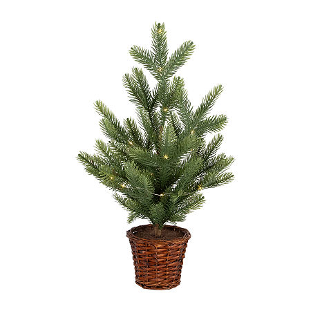 Click here for Northlight Pre-Lit Artificial Pine With Basket Bas... prices