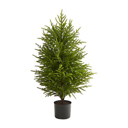 Click here for Nearly Natural 40in. Norfolk Island Pine Natural L... prices
