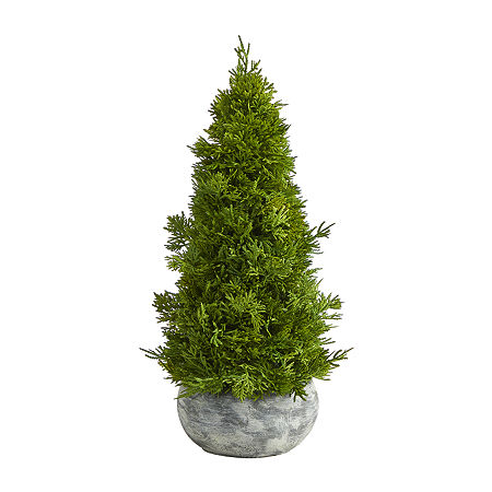Click here for Nearly Natural 18 Cypress Cone In Decorative Plant... prices