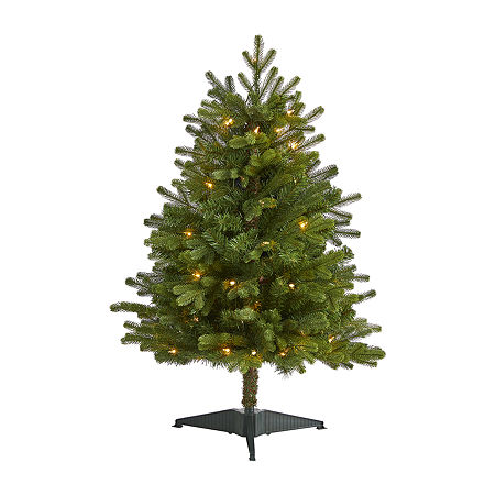 Click here for Nearly Natural 3 Foot Washington Fir With 50 Clear... prices