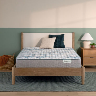BeautySleep Dream Weaver 12.5" Firm Tight Top - Mattress Only, Color ...