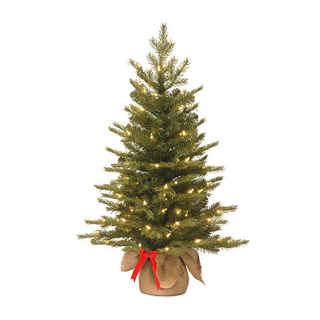 Click here for National Tree Co. Nordic Spruce 3 Foot Pre-Lit Spr... prices