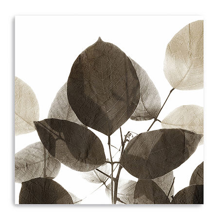 Click here for Lumaprints Chocolate Leaves 1 Canvas Art  One Size... prices