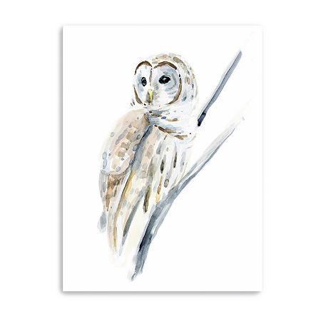 Click here for Lumaprints Arctic Owl I Giclee Canvas Art  One Siz... prices