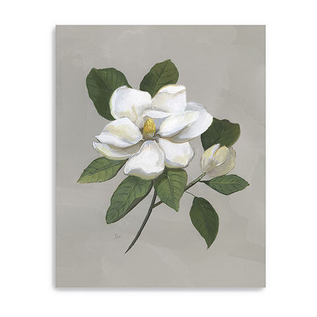Click here for Lumaprints Botanical Magnolia Giclee Canvas Art  O... prices