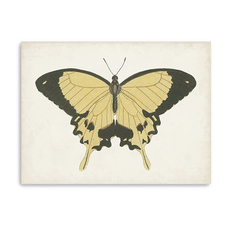 Click here for Lumaprints Beautiful Butterfly I Giclee Canvas Art... prices