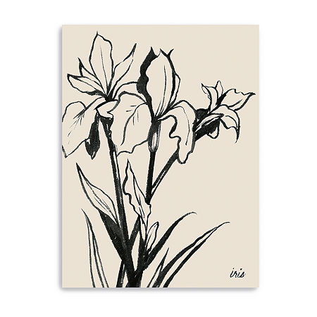 Click here for Lumaprints Iris Sketch Iii Giclee Canvas Art  One... prices