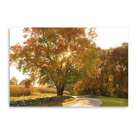 Click here for Lumaprints Maple Tree Drive Giclee Canvas Art  One... prices