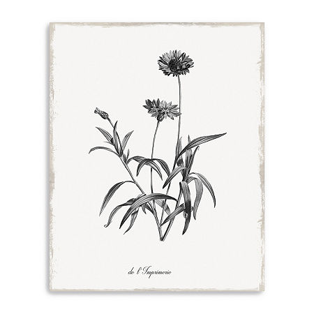 Click here for Lumaprints Simply Imperial Giclee Canvas Art  One... prices