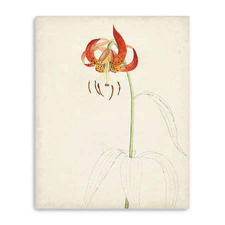 Click here for Lumaprints Watercolor Botanical Sketches I Giclee... prices