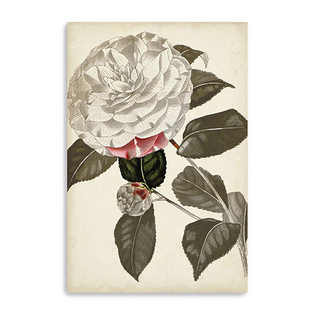 Click here for Lumaprints Silvery Botanicals I Giclee Canvas Art... prices