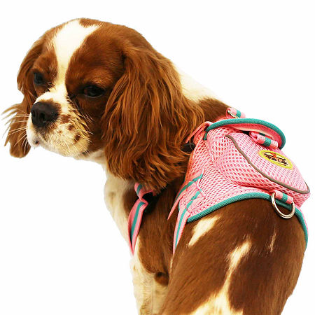 Click here for The Pet Life Mesh Pet Harness With Pouch  One Size... prices