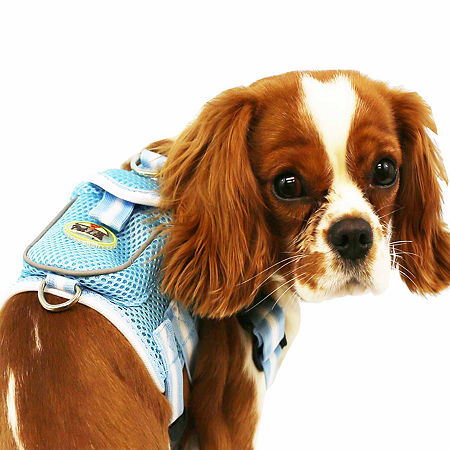 Click here for The Pet Life Mesh Pet Harness With Pouch  One Size... prices