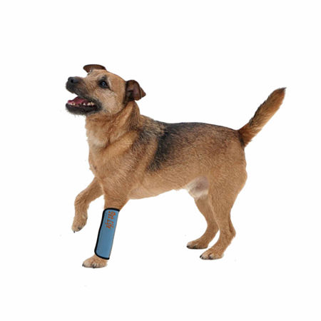 Click here for The Pet Life Extreme-Neoprene Joint Protective Ref... prices
