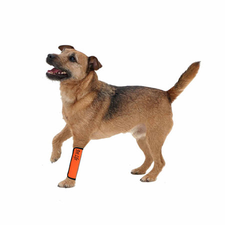 Click here for The Pet Life Extreme-Neoprene Joint Protective Ref... prices