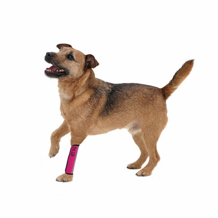 Click here for The Pet Life Extreme-Neoprene Joint Protective Ref... prices