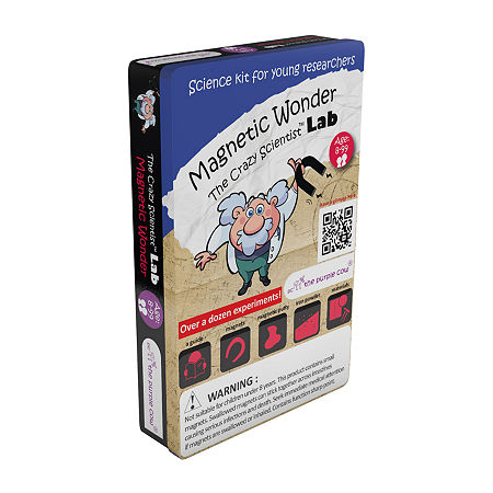 Click here for The Crazy Scientist Lab - Magnetic Wonder Brain Ga... prices