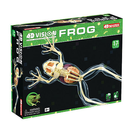 Click here for 4D Master 4D Vision Full Skeleton Frog Model  One... prices