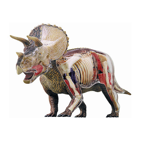 Click here for 4d Master 4d Vision Triceratops Anatomy Model Puzz... prices