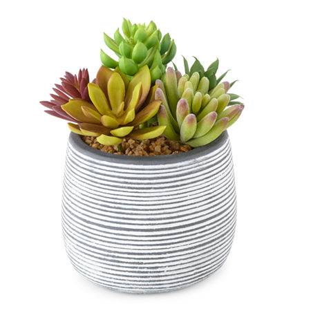 Click here for Linden Street 6in Mixed Succulent Artificial Plant... prices