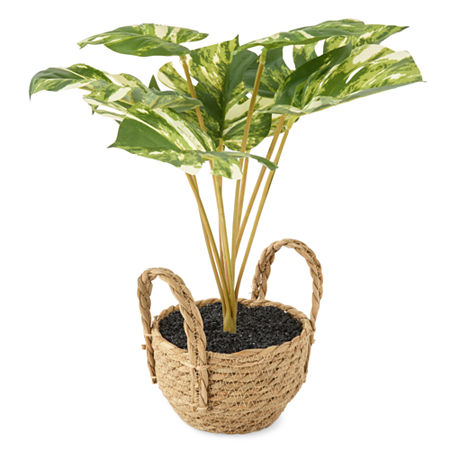 Click here for Linden Street 20in Varigated Monstera Artificial P... prices