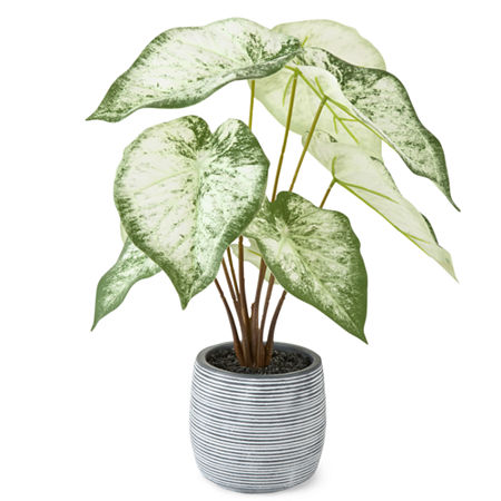 Click here for Linden Street 16.5in White Philodendron Artificial... prices