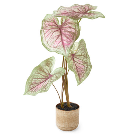 Click here for Linden Street 29in Candyland Caladium Artificial P... prices