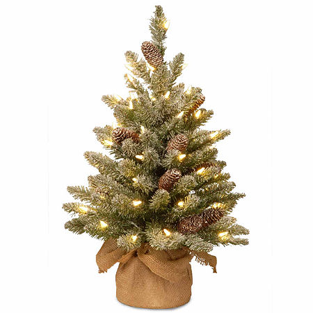 Click here for National Tree Co. Snowy Concolor Burlap 2 Foot Pre... prices