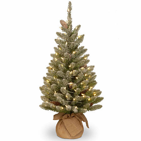 Click here for National Tree 3ft. Snowy Concolor Pre-Lit LED Fir... prices