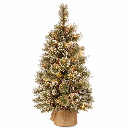 Click here for National Tree Co. Glittery Bristle Pine 3 Foot Pre... prices
