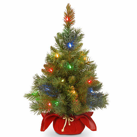 Click here for National Tree Company 24 Majestic Spruce Tree in B... prices