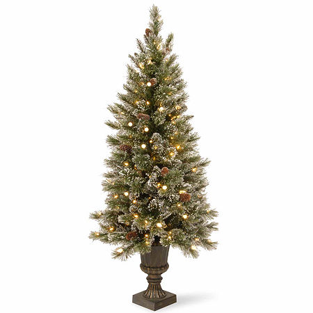 Click here for National Tree Co. Glittery Bristle Pine Entrance 4... prices