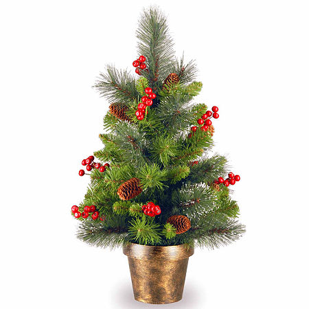 Click here for National Tree 2ft. Crestwood(R) Spruce Tree prices